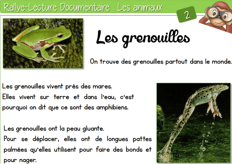 Textes courts Animaux avec questions - French Reading Pack A1 A2 ...