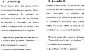 Compréhension à la lecture ce1 ce2 : Petites aventures en classe ...