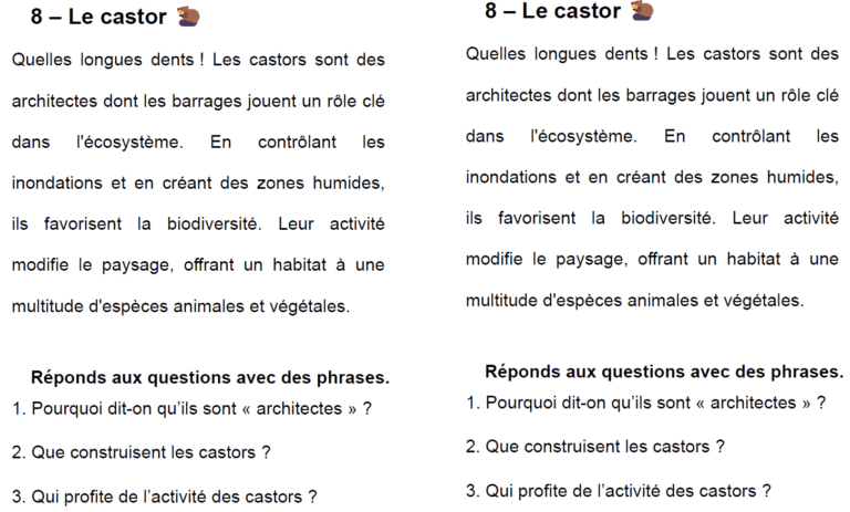 Textes courts Animaux avec questions - French Reading Pack A1 A2 ...